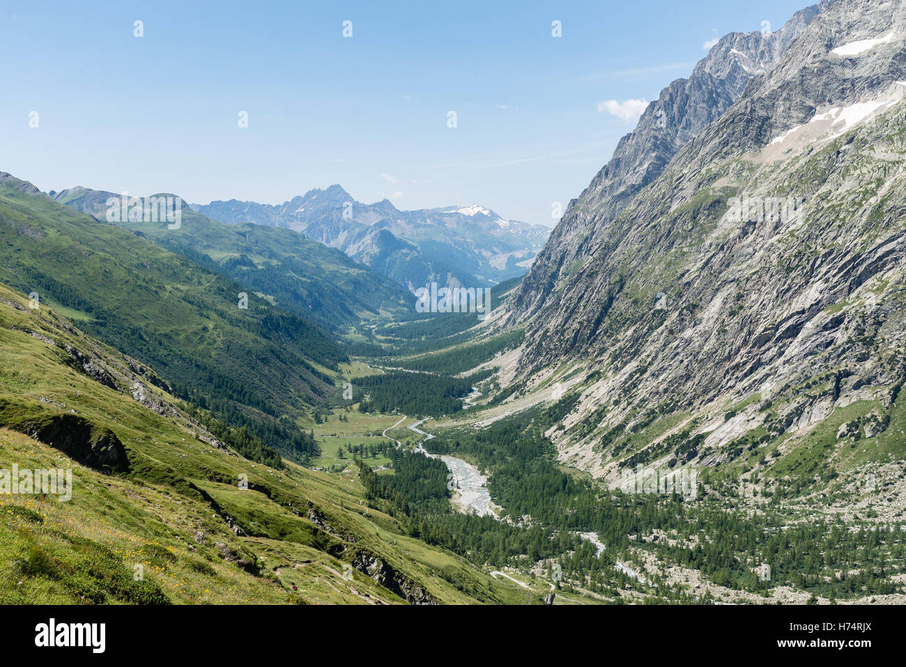 Ferret valley hi-res stock photography and images - Alamy