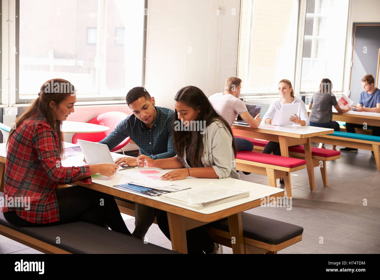 Group Of University Students Working In Study Room Stock Photo - Alamy