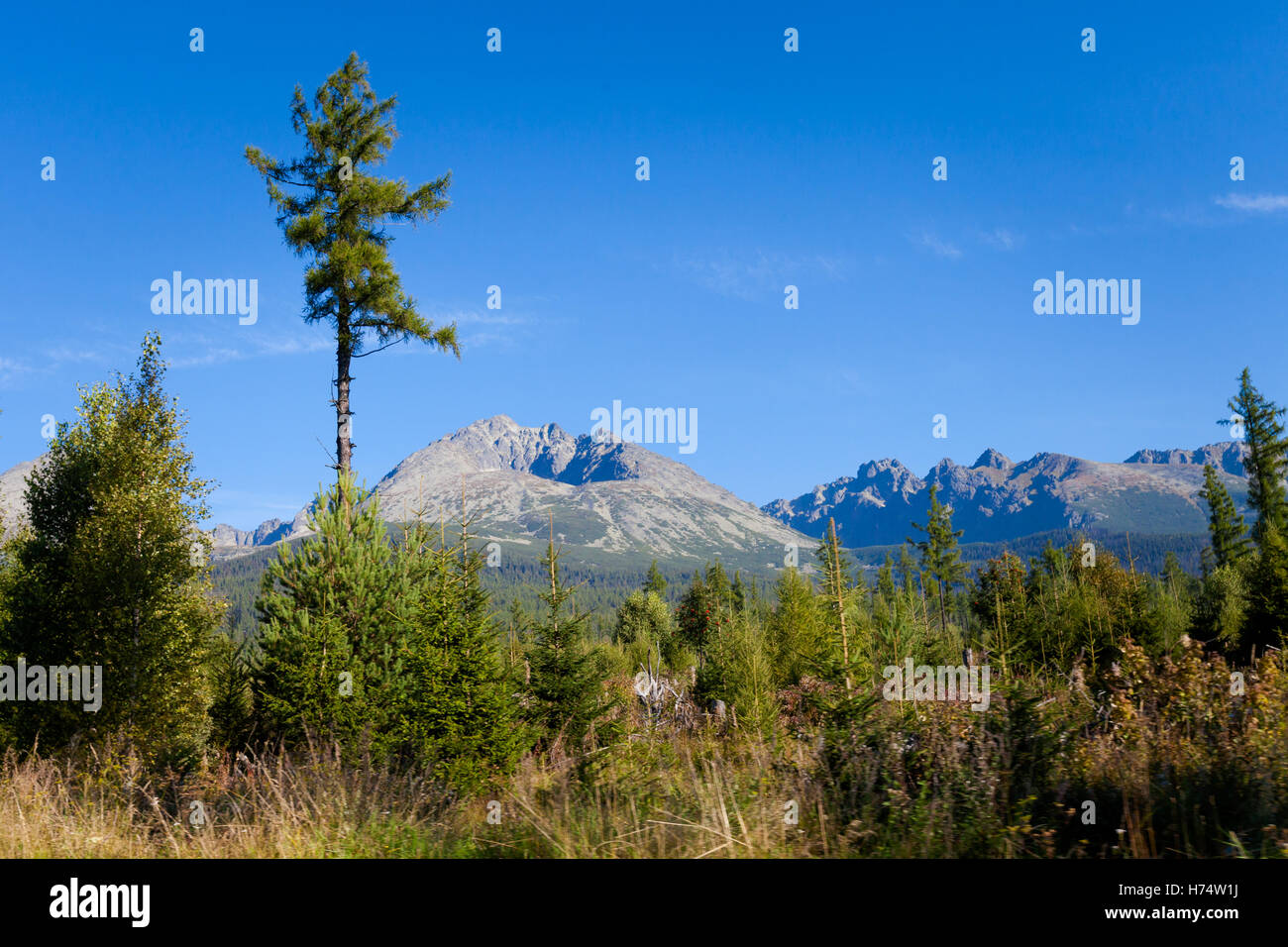 Beautiful Gerlach view in slovakian high Tatra mountains. Summer ...
