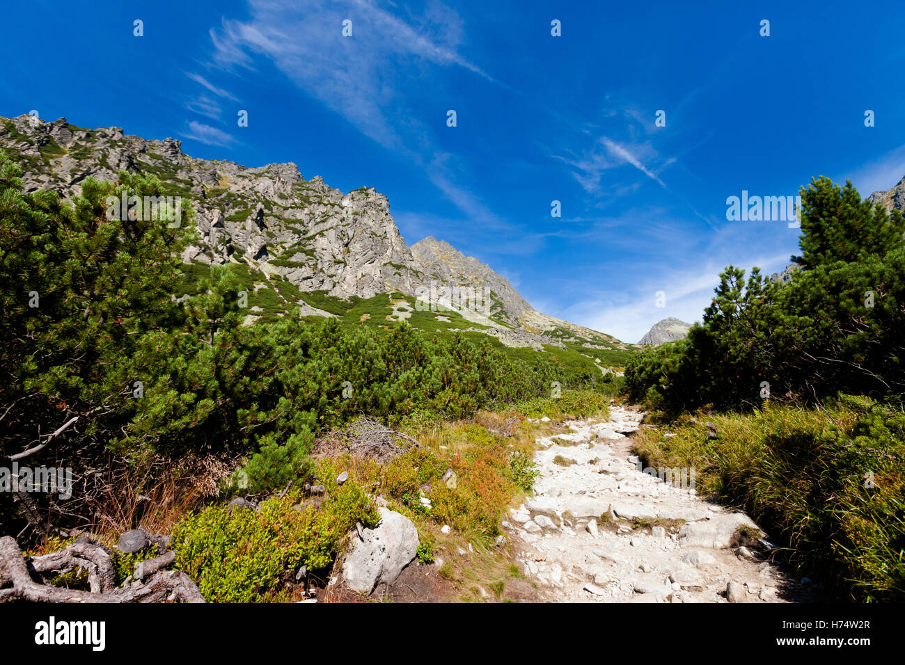 Bystre sedlo path hi-res stock photography and images - Alamy