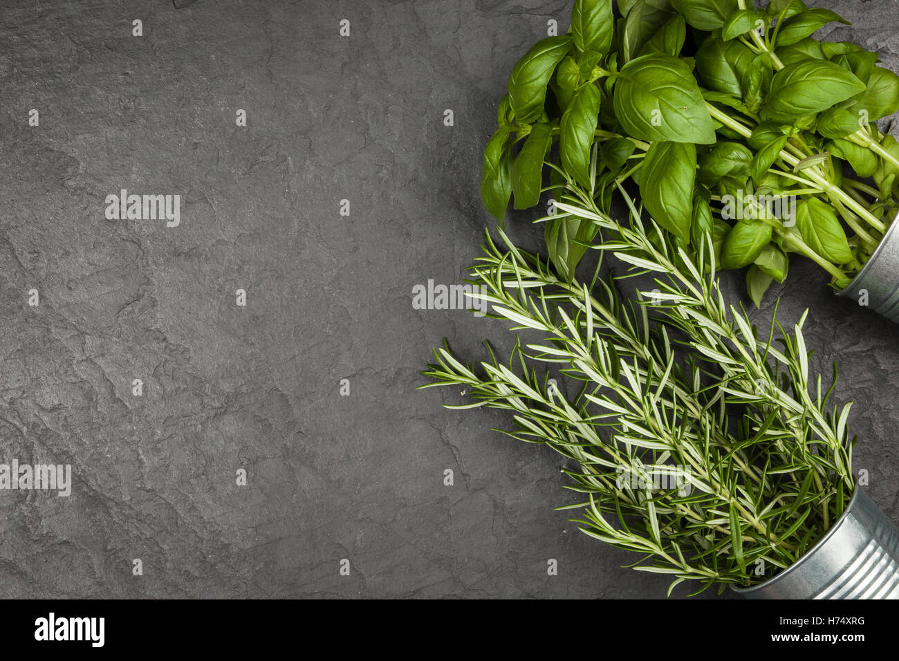Fresh herbs on grey background Stock Photo - Alamy