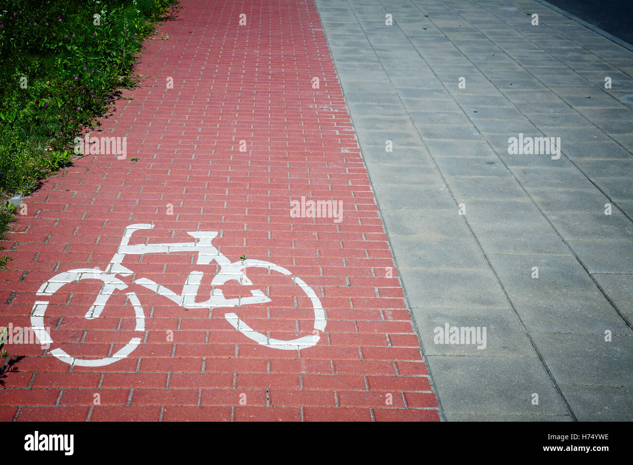 Bicycle road sign painted on the pavement Stock Photo - Alamy