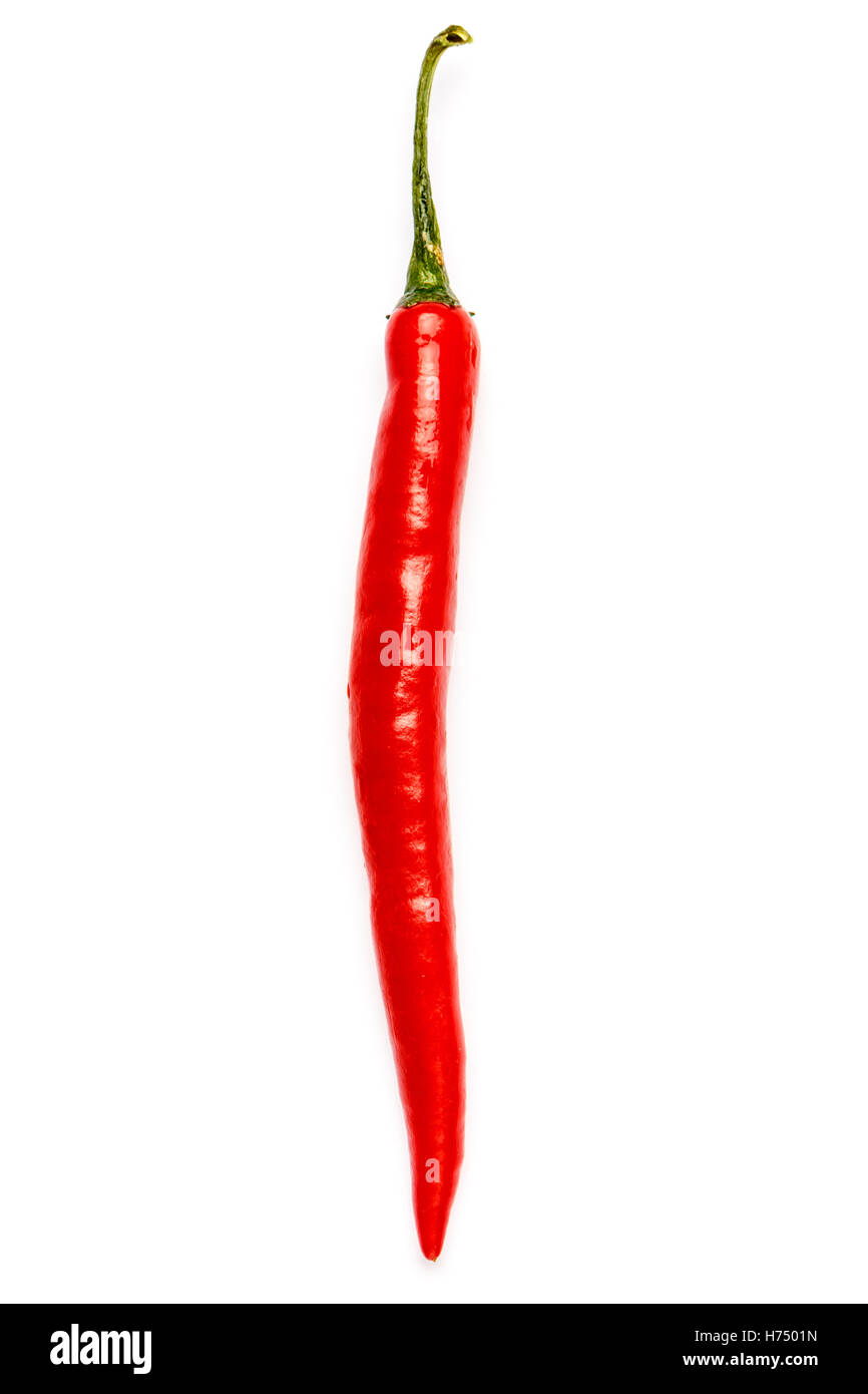 chili pepper isolated Stock Photo - Alamy