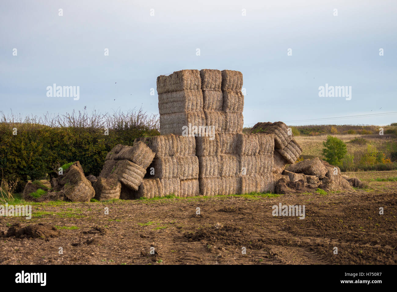 Hey bails hi-res stock photography and images - Alamy