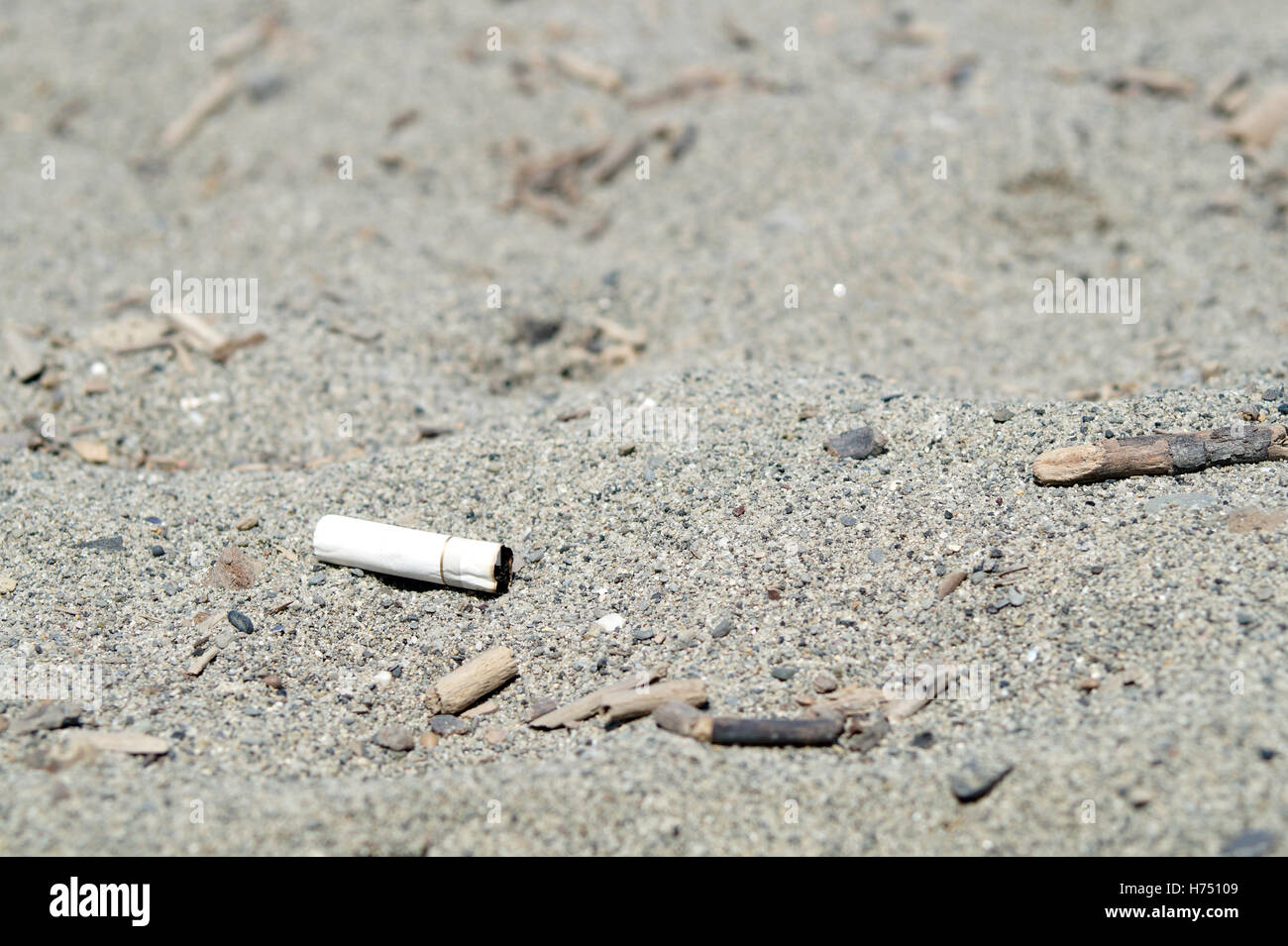 cigarette end on the beach Stock Photo - Alamy