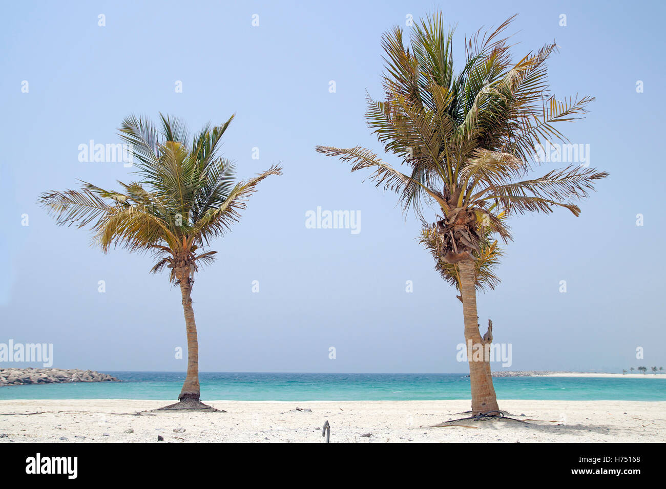 Dubai island beach hi-res stock photography and images - Alamy