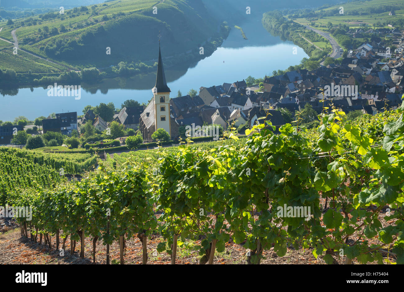 View of River Moselle and St Lawrence’s Church, Bremm, Rhineland ...