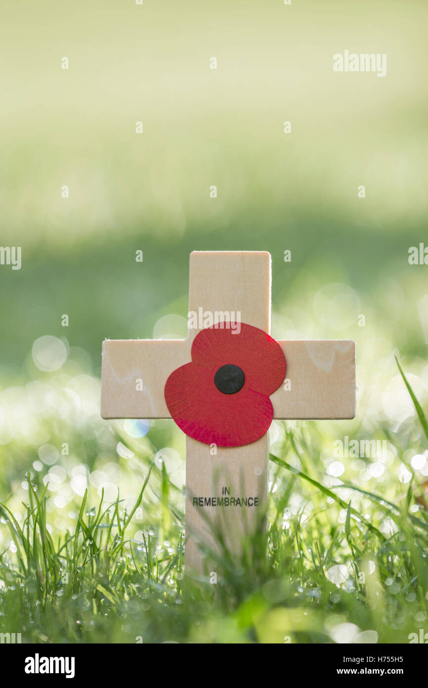 Small wooden cross of remembrance on a lawn Stock Photo - Alamy