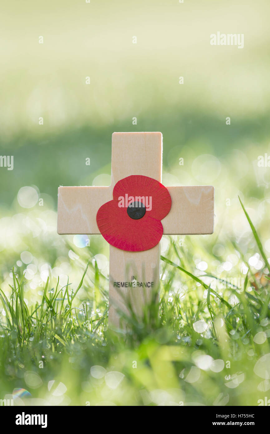 Small wooden cross of remembrance on a lawn Stock Photo - Alamy