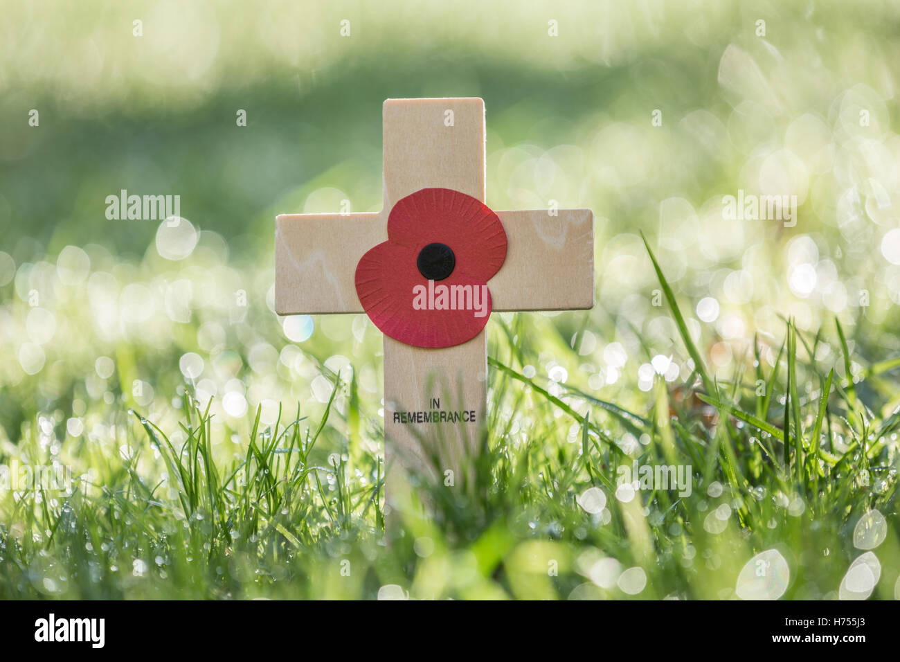 Small wooden cross of remembrance on a lawn Stock Photo - Alamy