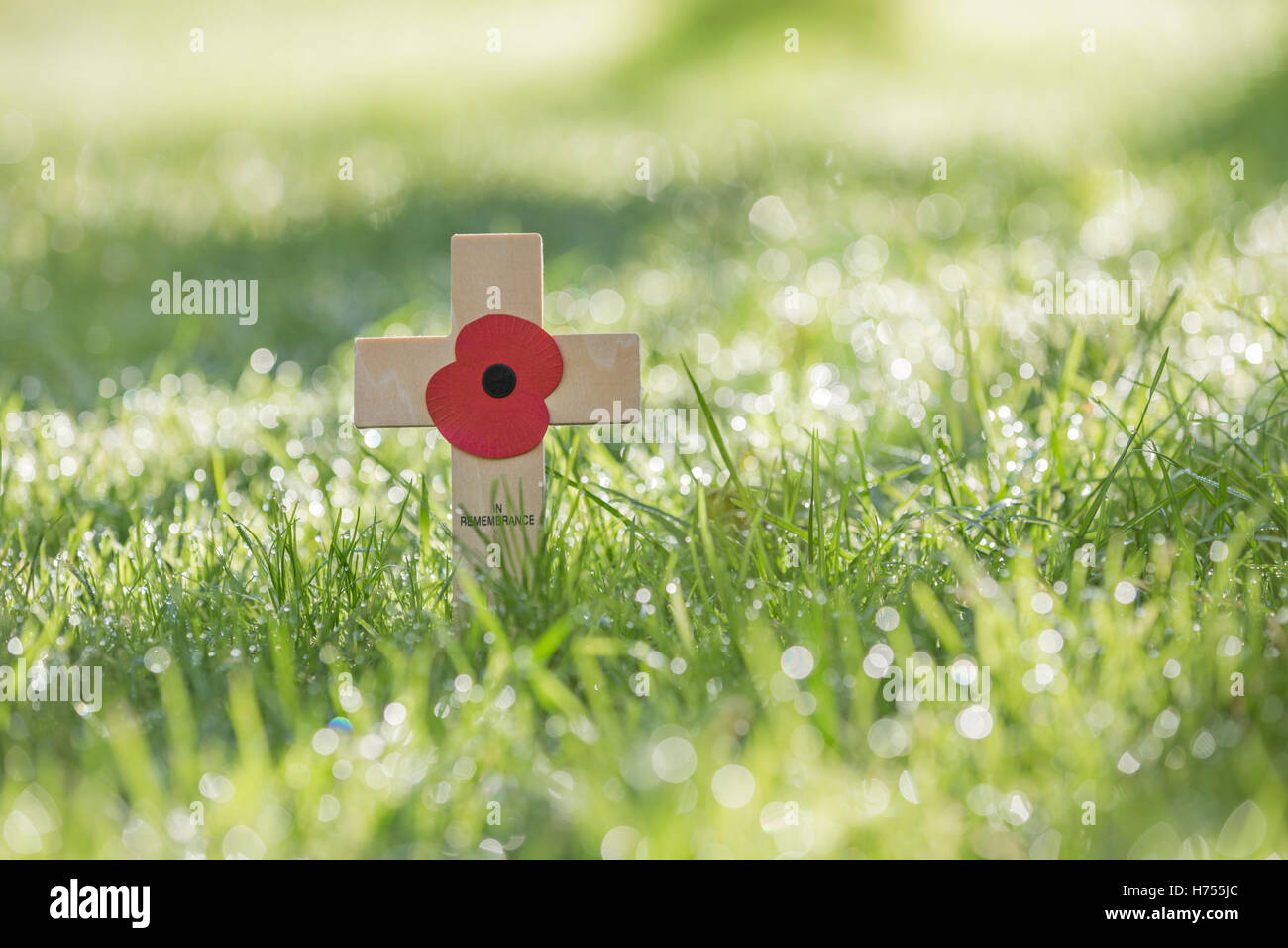 Small wooden cross of remembrance on a lawn Stock Photo - Alamy