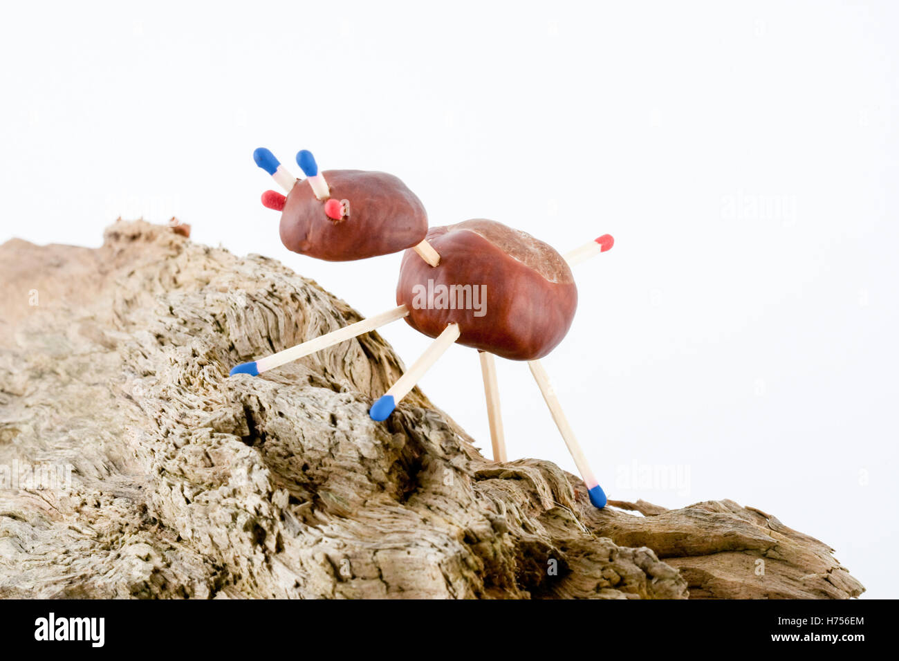 Chestnut figure on a piece of wood on white background Stock Photo - Alamy
