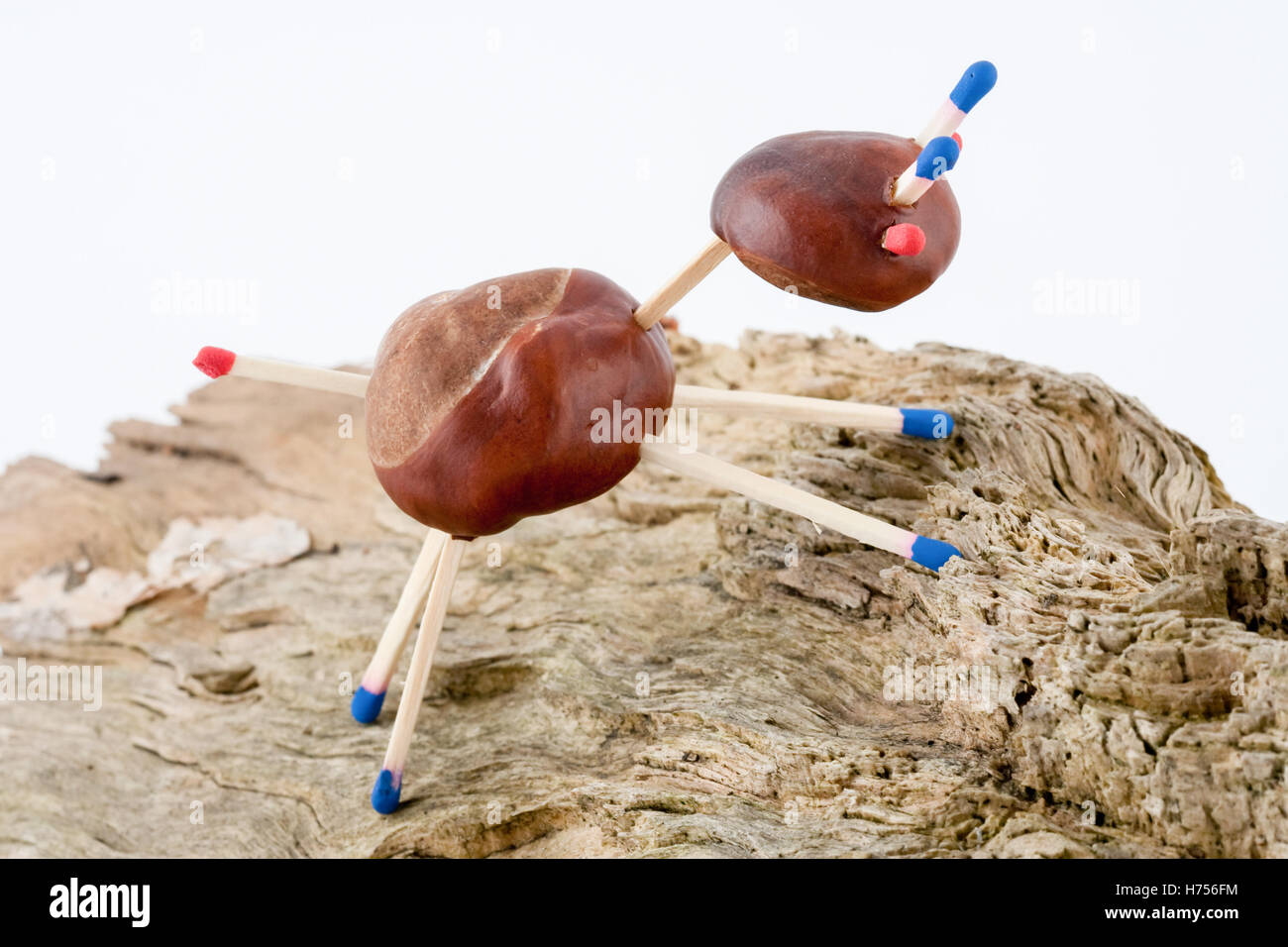 Chestnut figure on a piece of wood on white background Stock Photo - Alamy