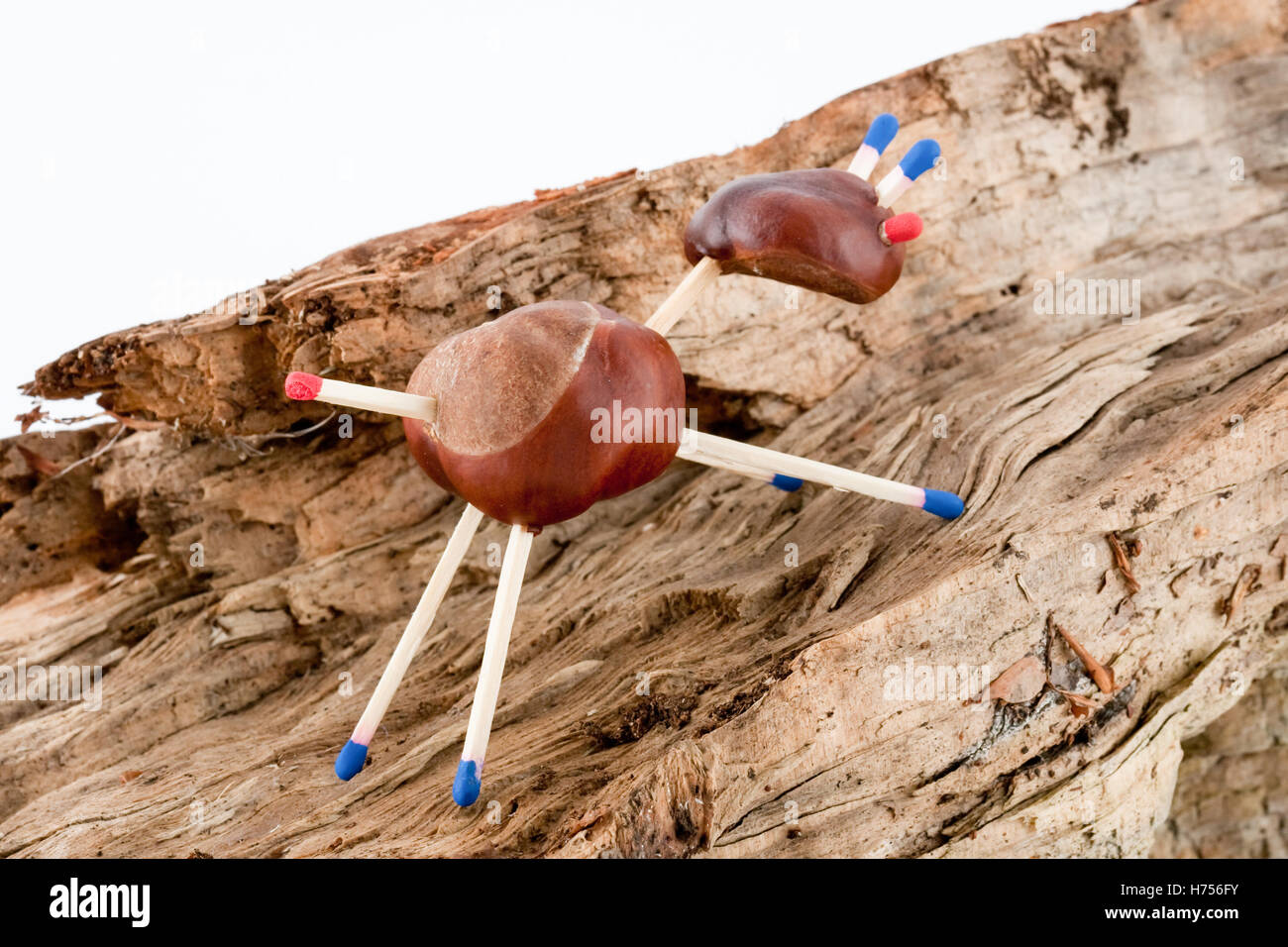 Chestnut figure on a piece of wood on white background Stock Photo - Alamy