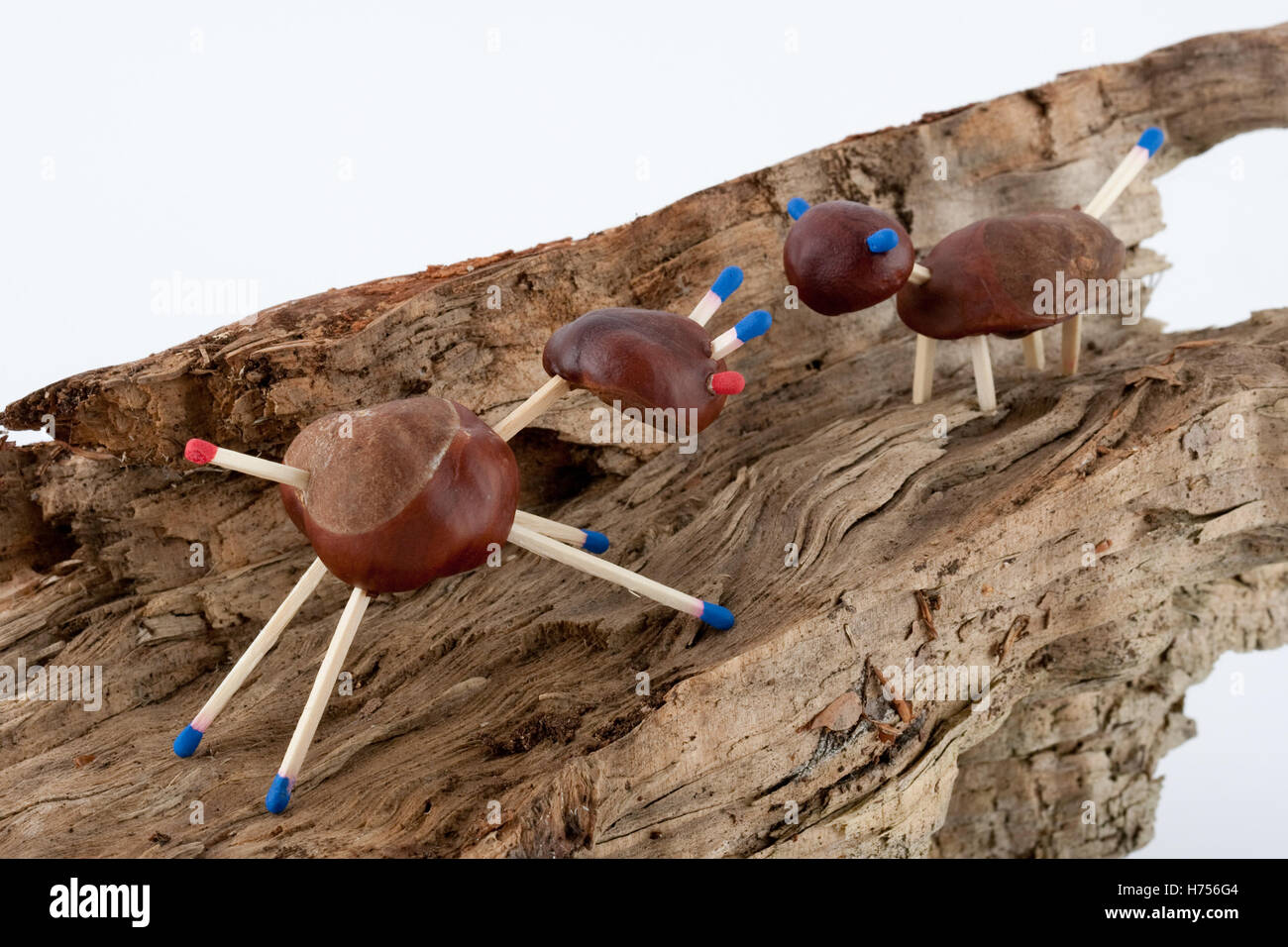 Chestnut figure on a piece of wood on white background Stock Photo - Alamy
