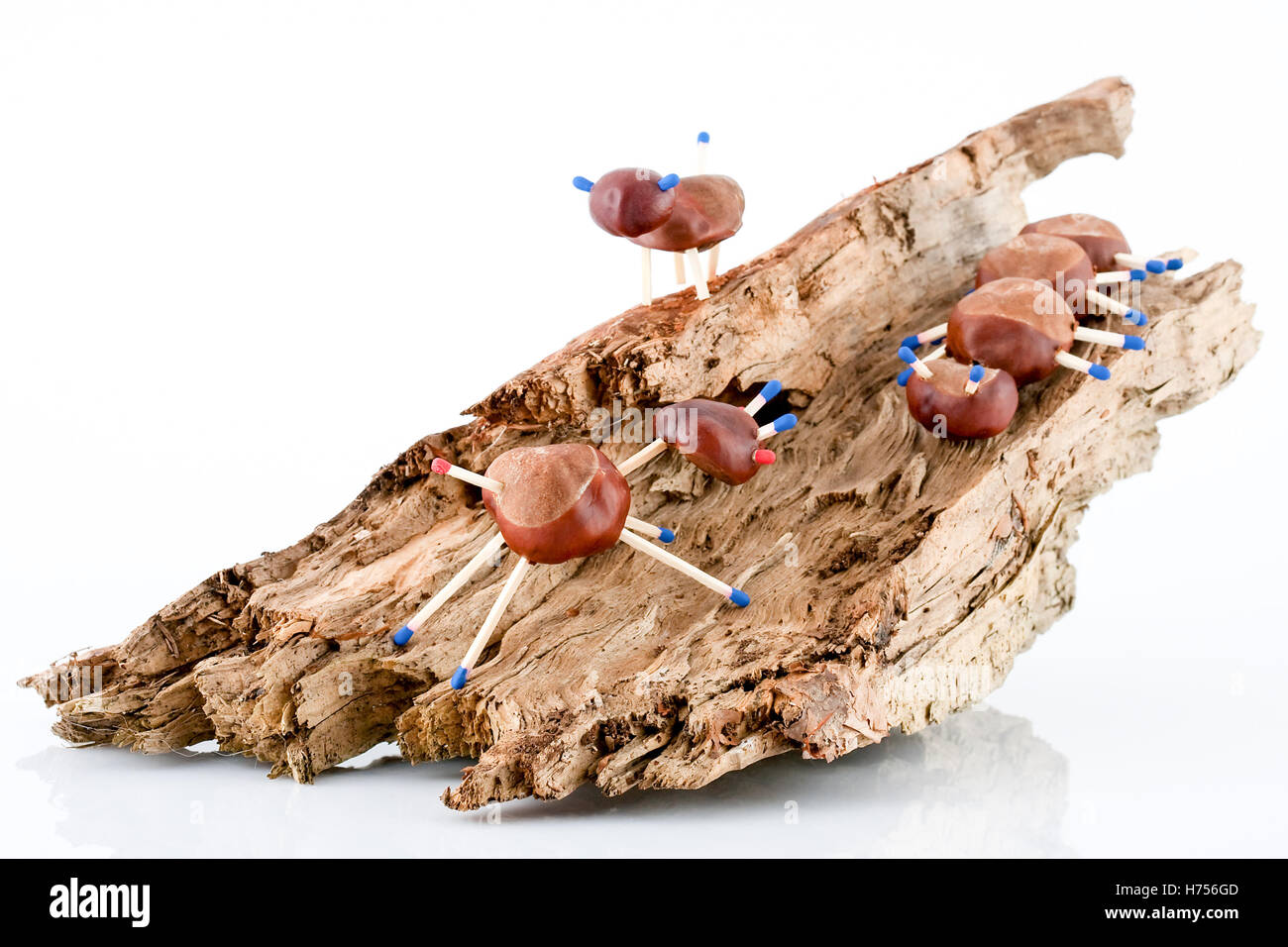 Chestnut figure on a piece of wood on white background Stock Photo - Alamy