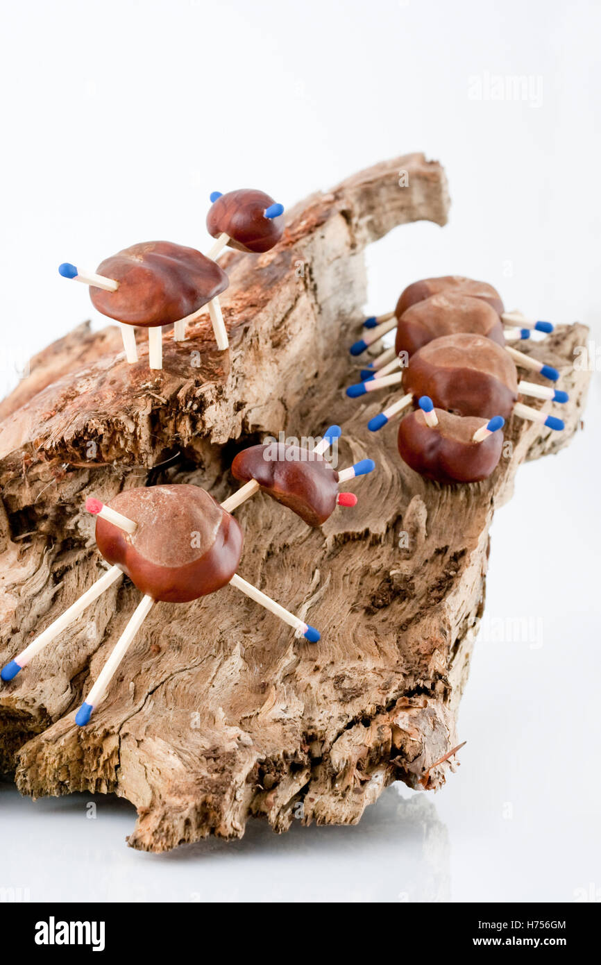 Chestnut figure on a piece of wood on white background Stock Photo - Alamy