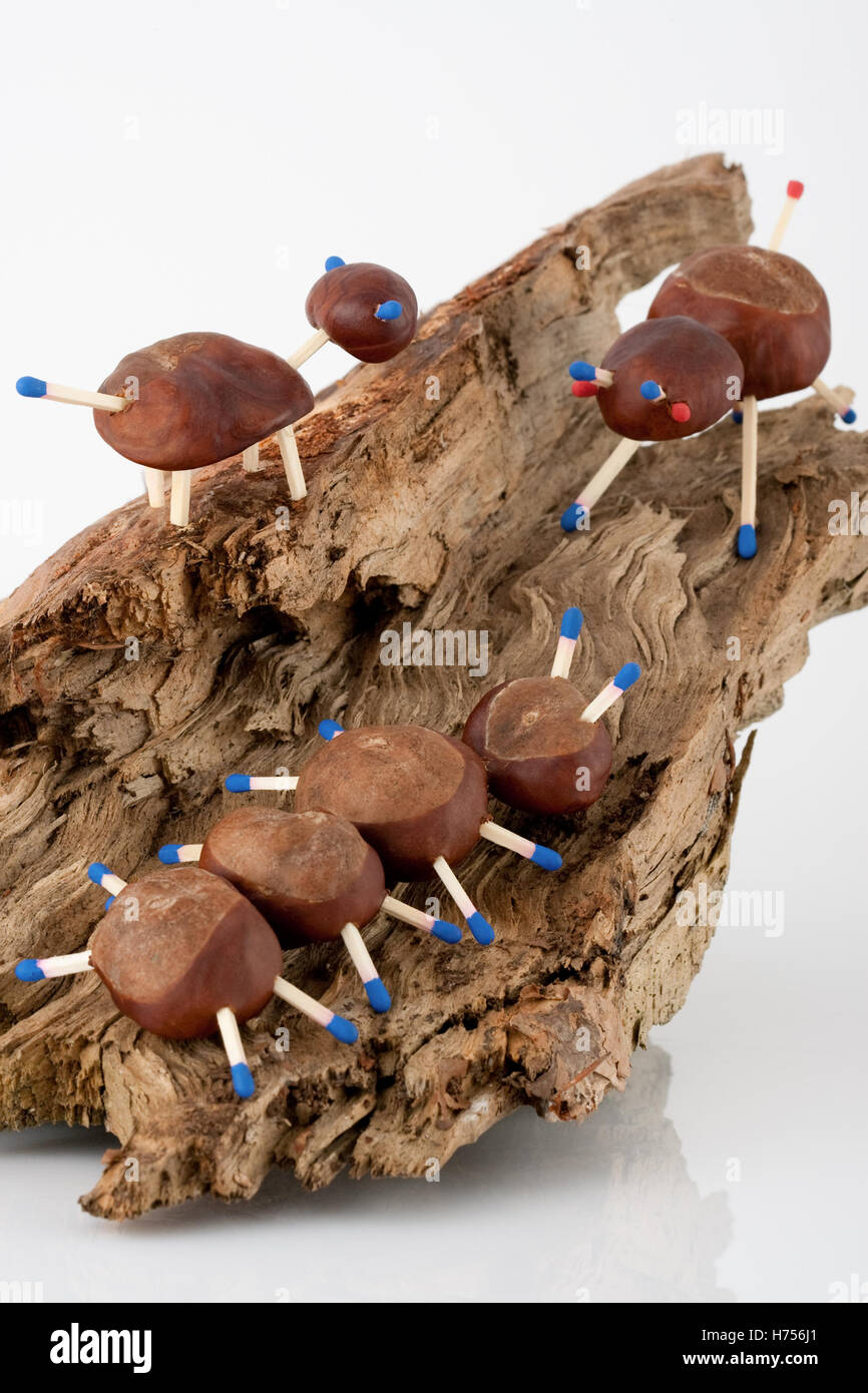 Chestnut figure on a piece of wood on white background Stock Photo - Alamy