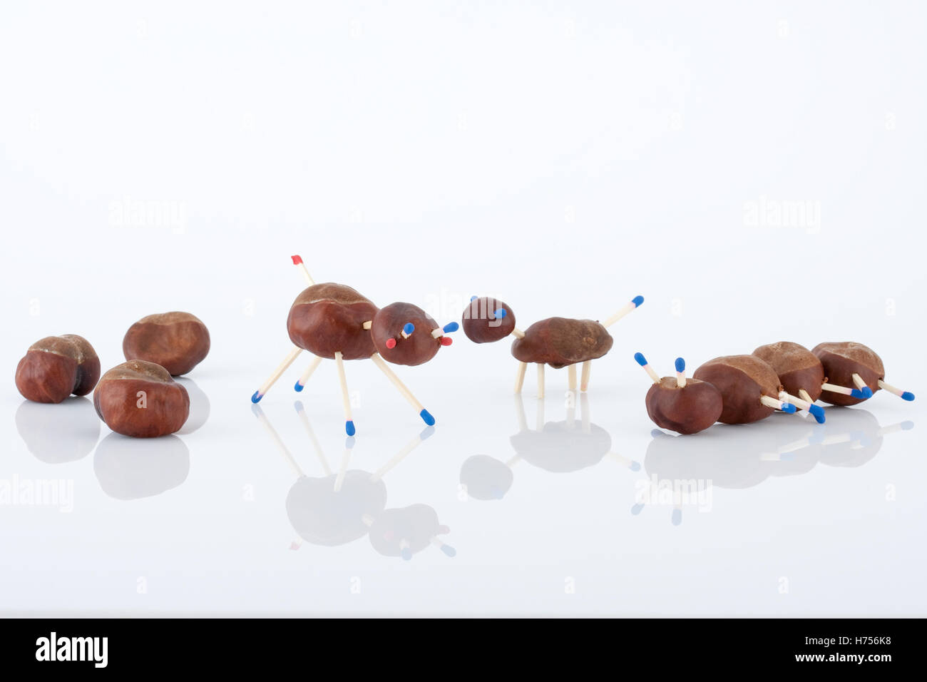 Chestnut figure on white background Stock Photo - Alamy