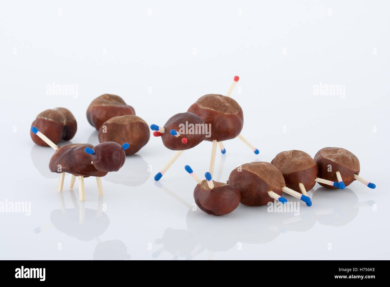 Chestnut figure on white background Stock Photo - Alamy