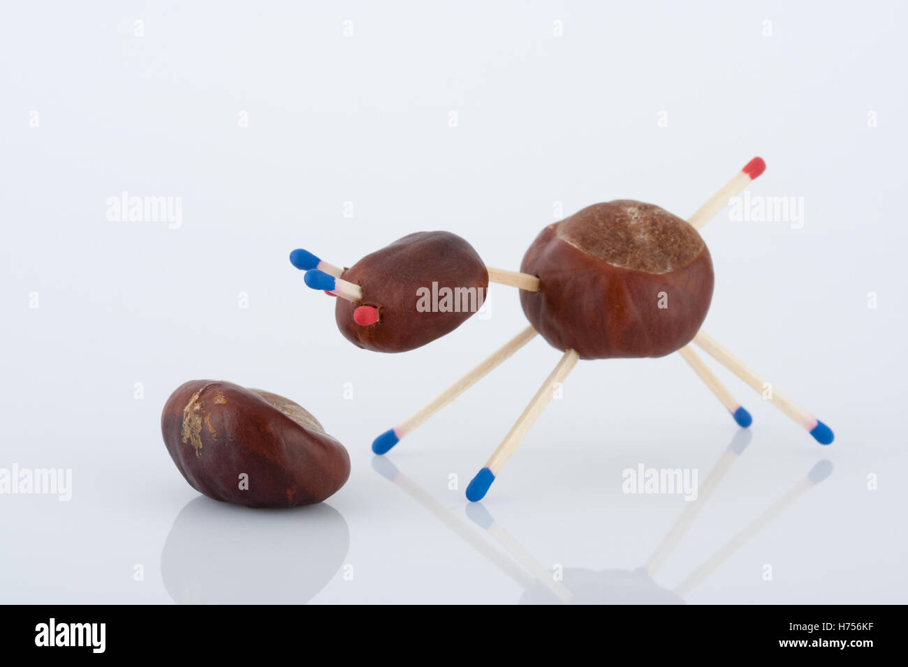 Chestnut figure on white background Stock Photo - Alamy