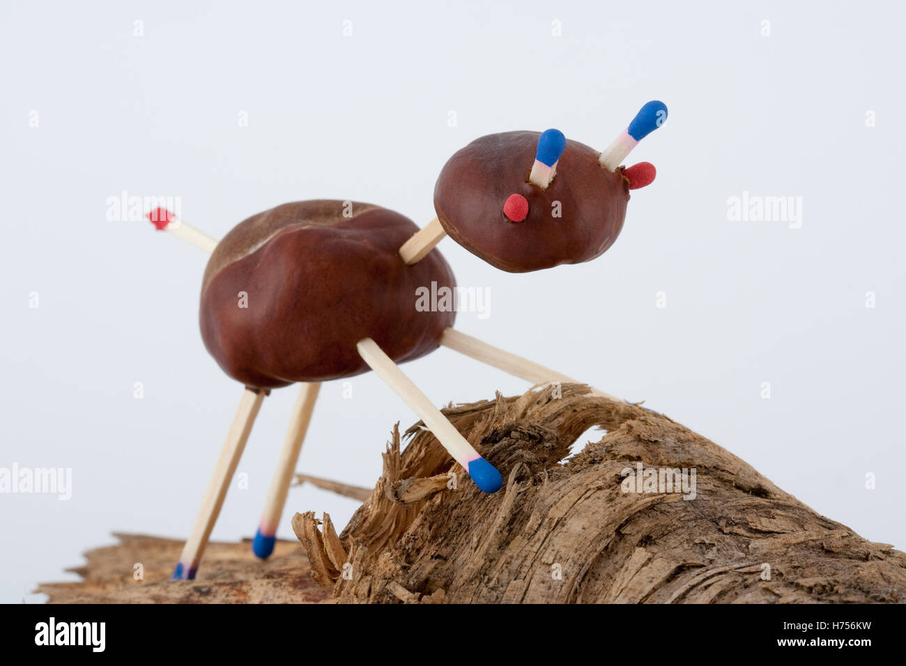Chestnut figure on white background Stock Photo - Alamy