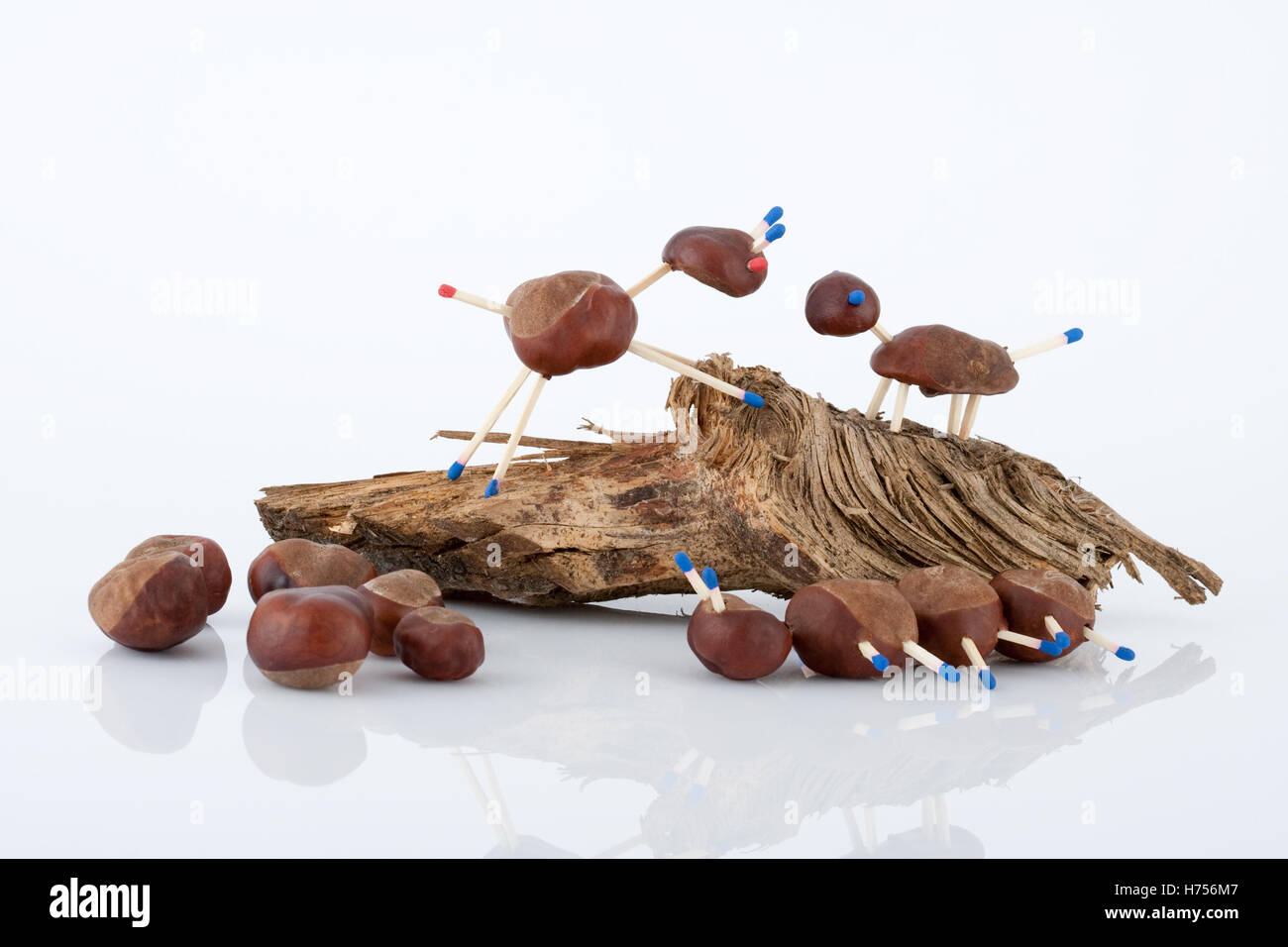Chestnut figure on white background Stock Photo - Alamy
