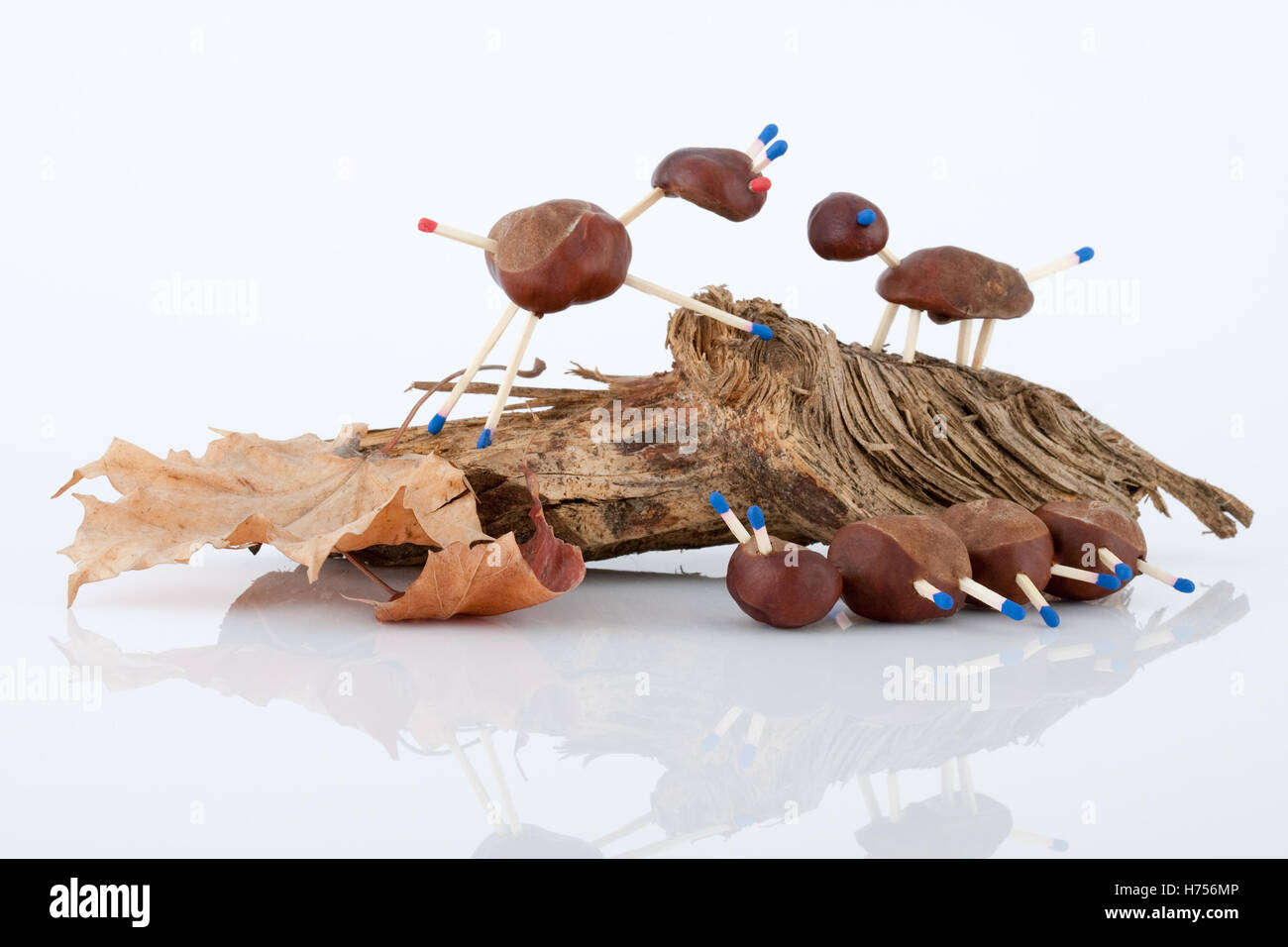Chestnut figure on white background Stock Photo - Alamy