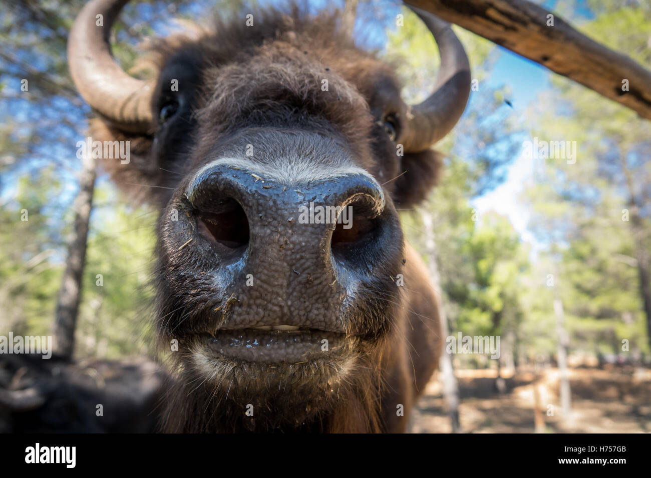 Extreme closeup wide angle hi-res stock photography and images - Alamy