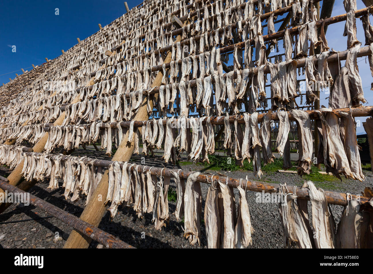 Svolvaer, Lofoten Islands, Norway Stock Photo - Alamy