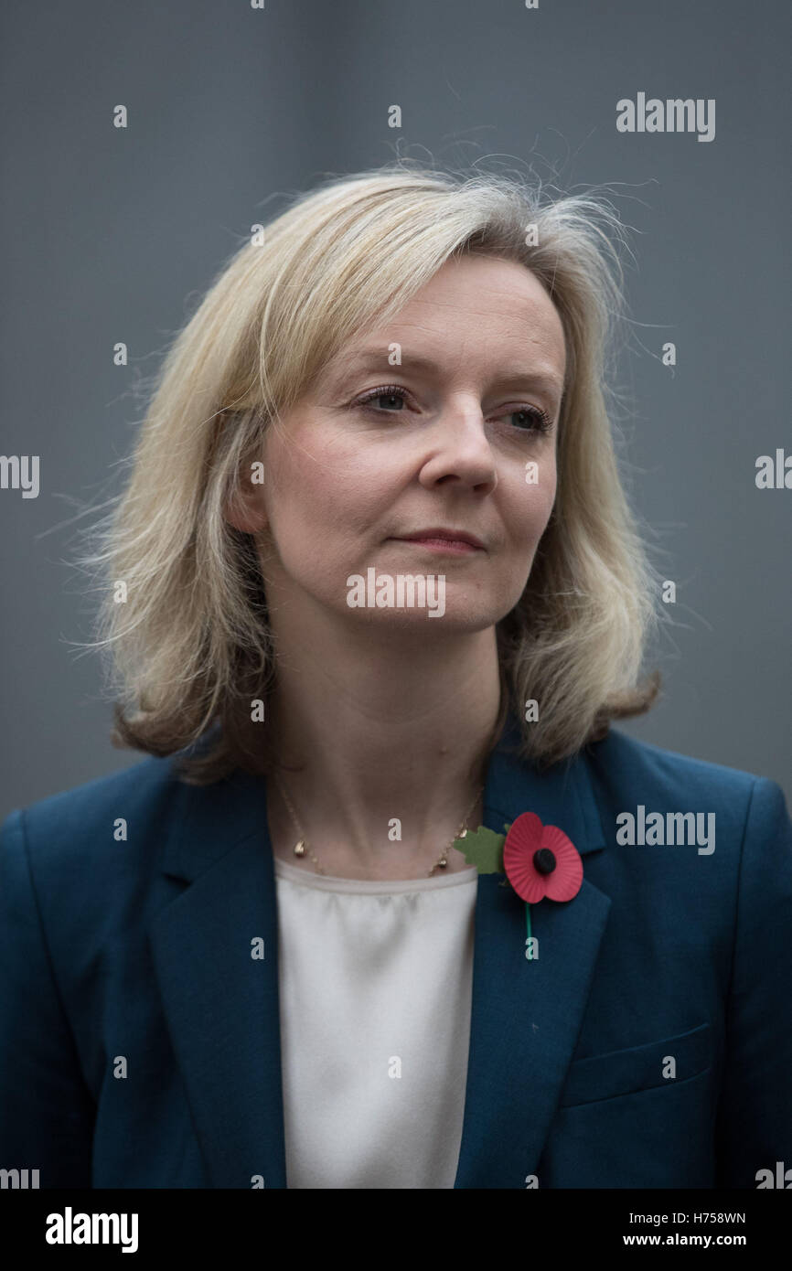 Embargoed to 0001 Thursday November 3 Secretary Of State For Justice ...