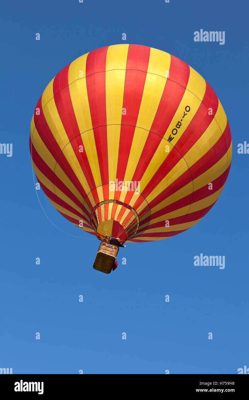 1 of 12 ascending hot air balloons in a commemorative flight on the ...