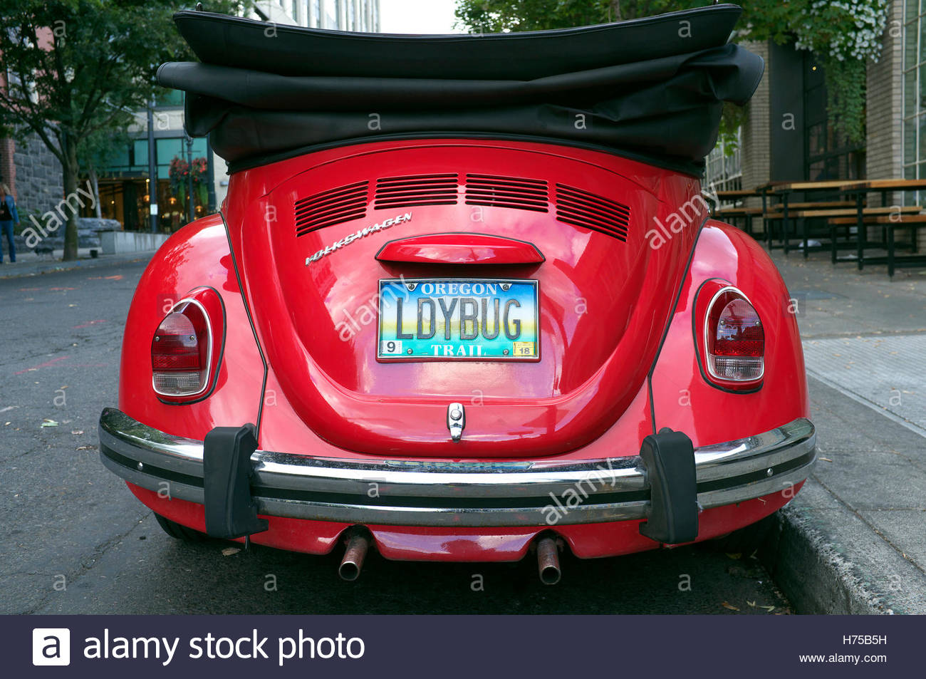 Car Licence Registration Plate High Resolution Stock Photography and ...