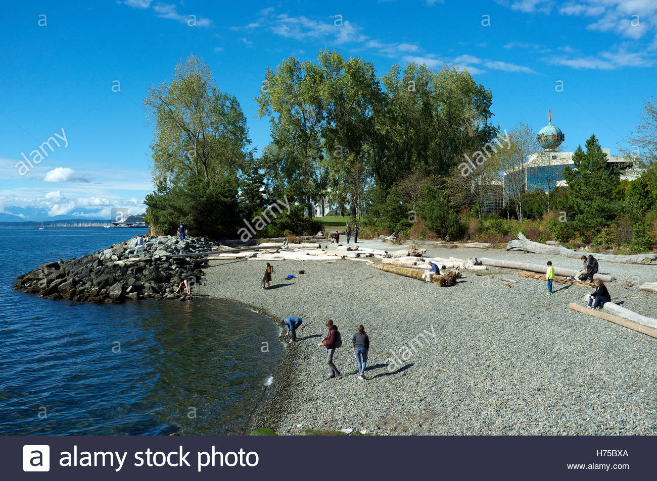 Olympic Sculpture Park Seattle Art High Resolution Stock Photography ...