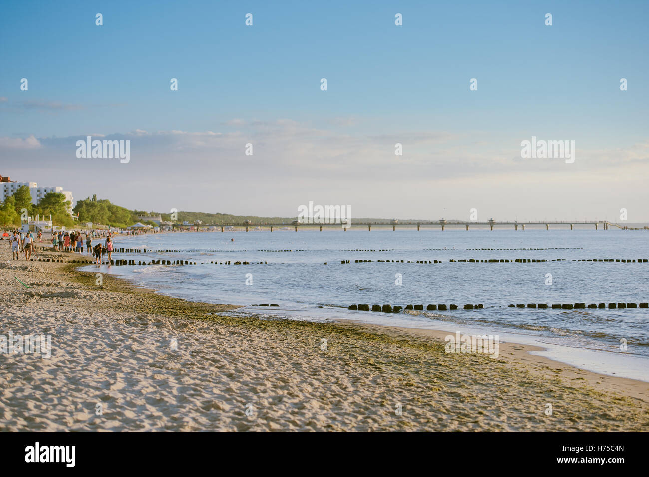 beach and Baltic Sea in summer time Stock Photo - Alamy