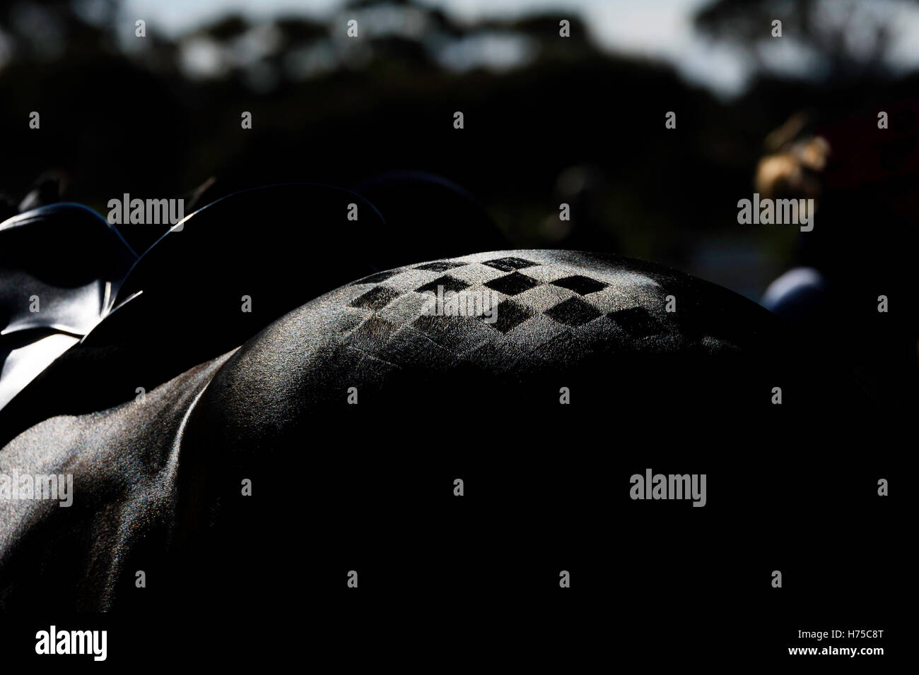 Horse prepared for a show, checker pattern, fine art Stock Photo - Alamy