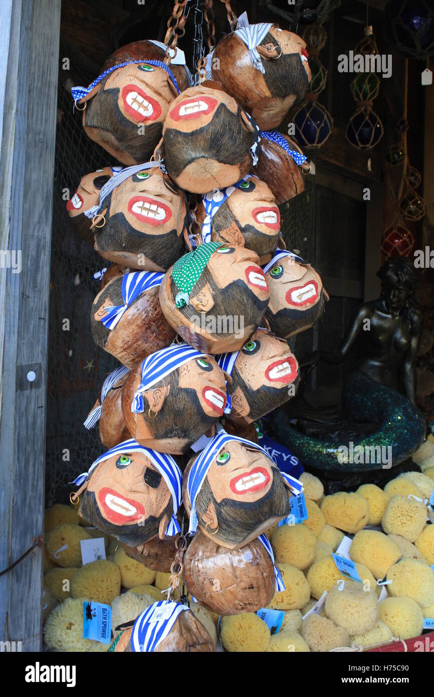 key west Florida coconut pirate heads Stock Photo - Alamy
