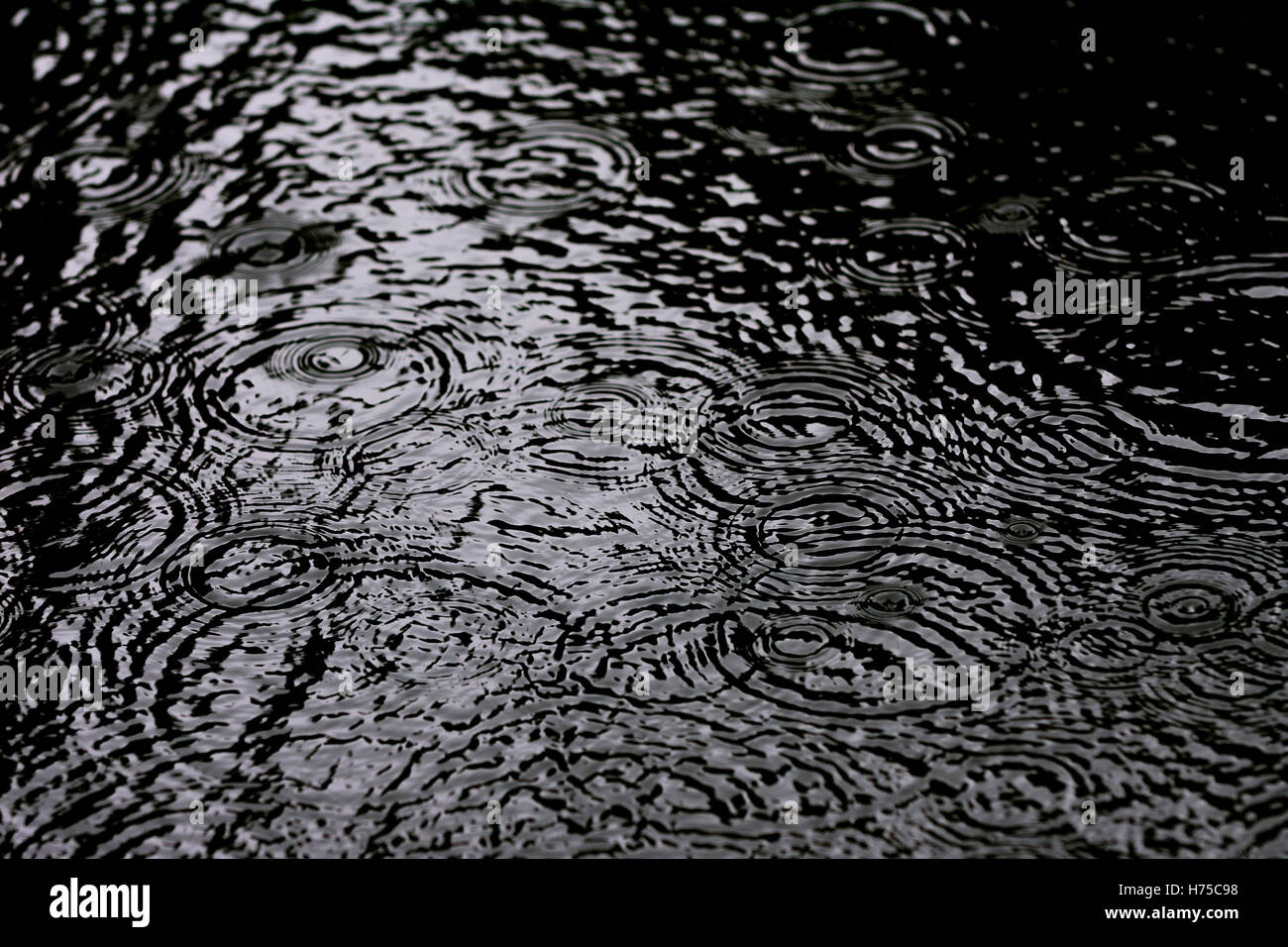 Rain drops on dam Stock Photo - Alamy