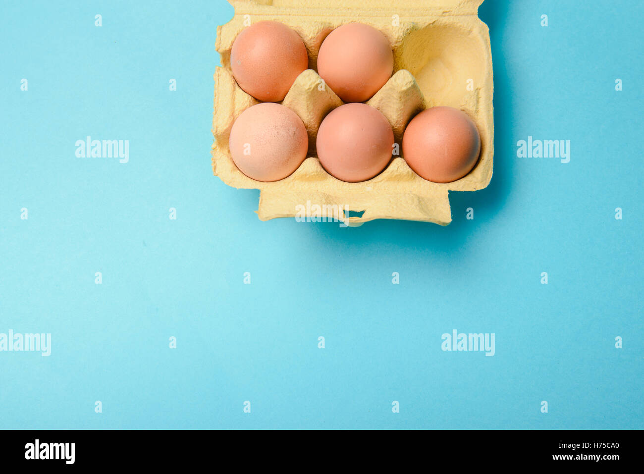 View of opened box of chicken eggs, blue background Stock Photo - Alamy