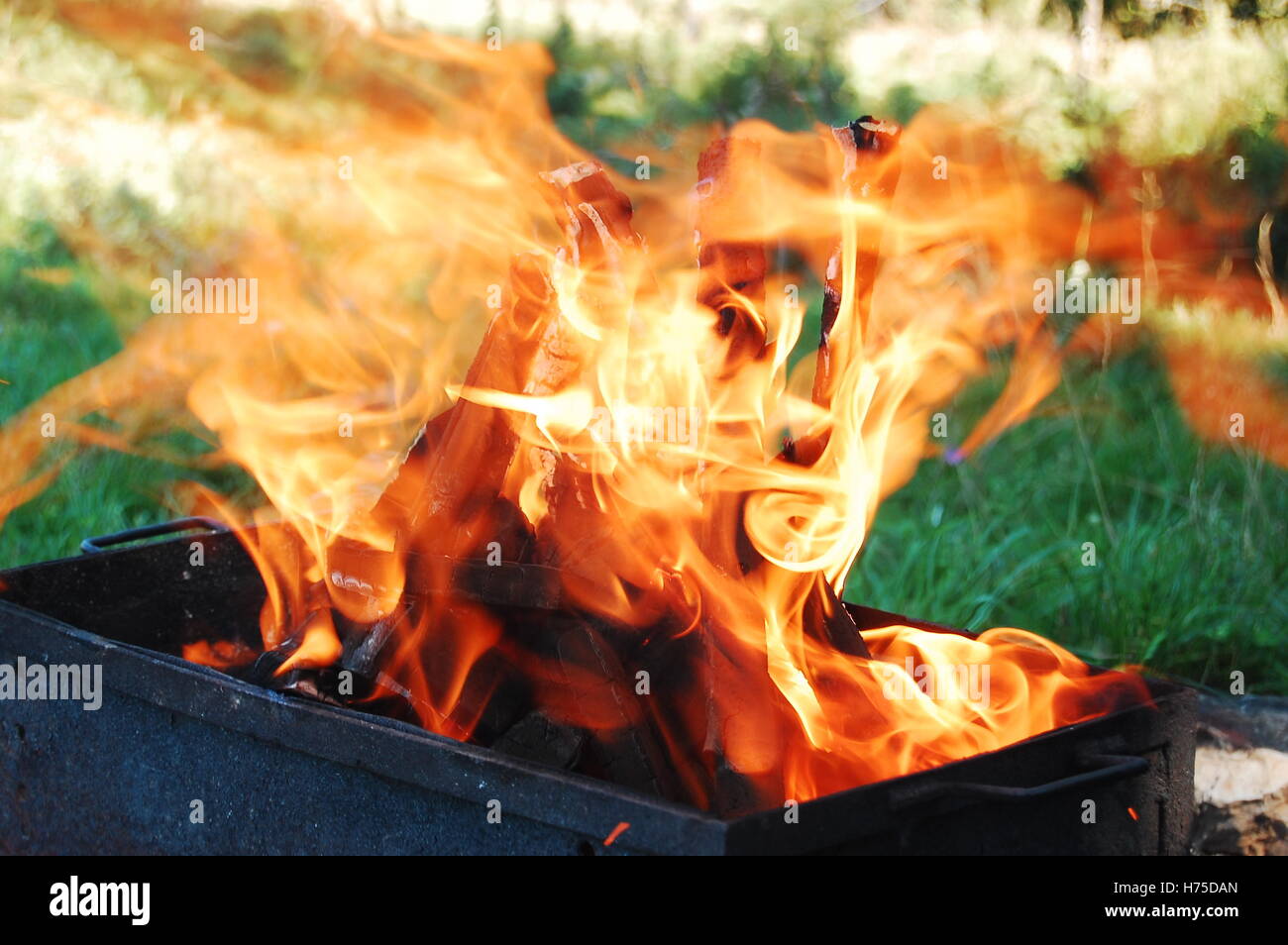 Big fire at barbecue Stock Photo - Alamy