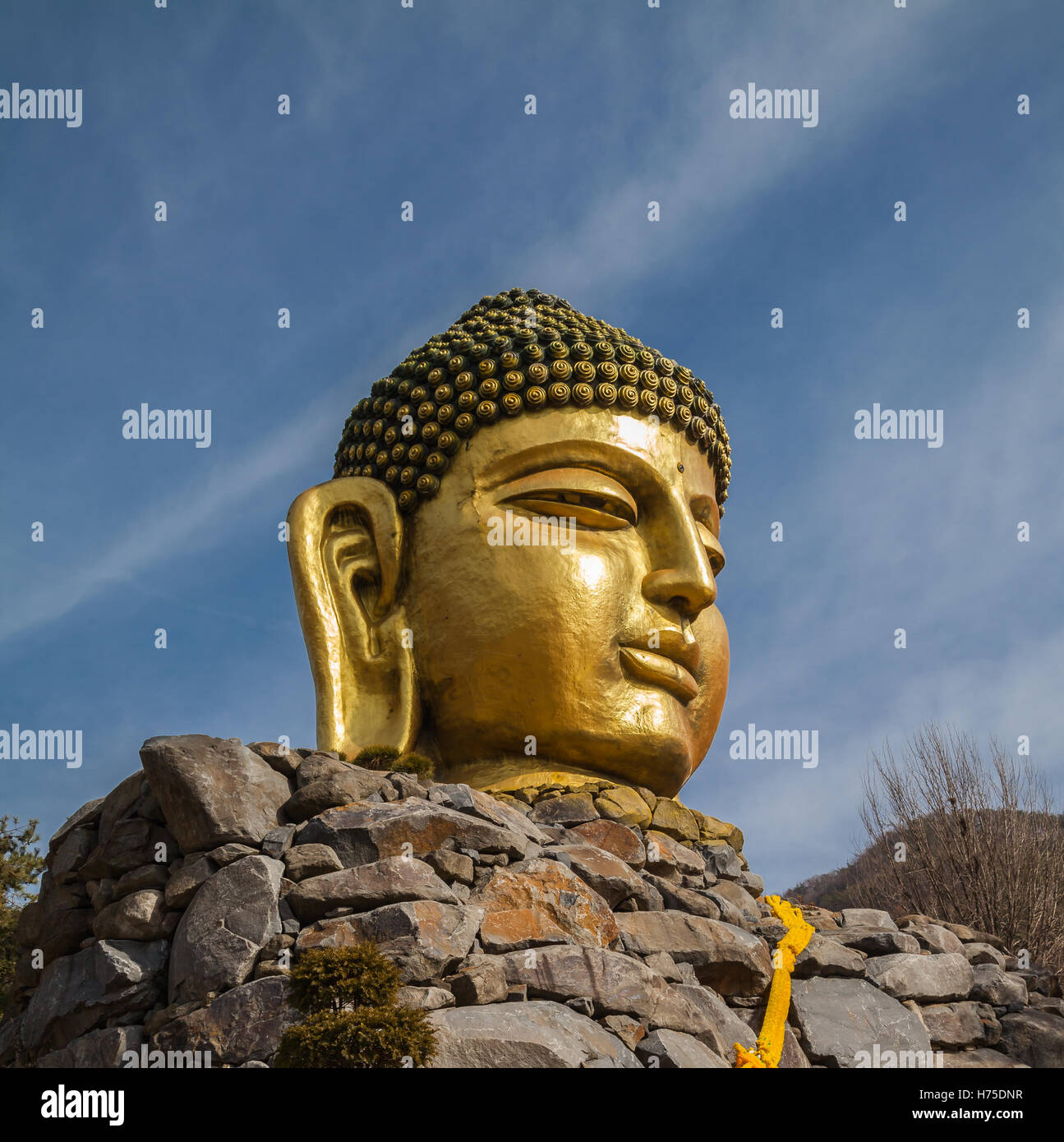 Buddha symbol hi-res stock photography and images - Alamy