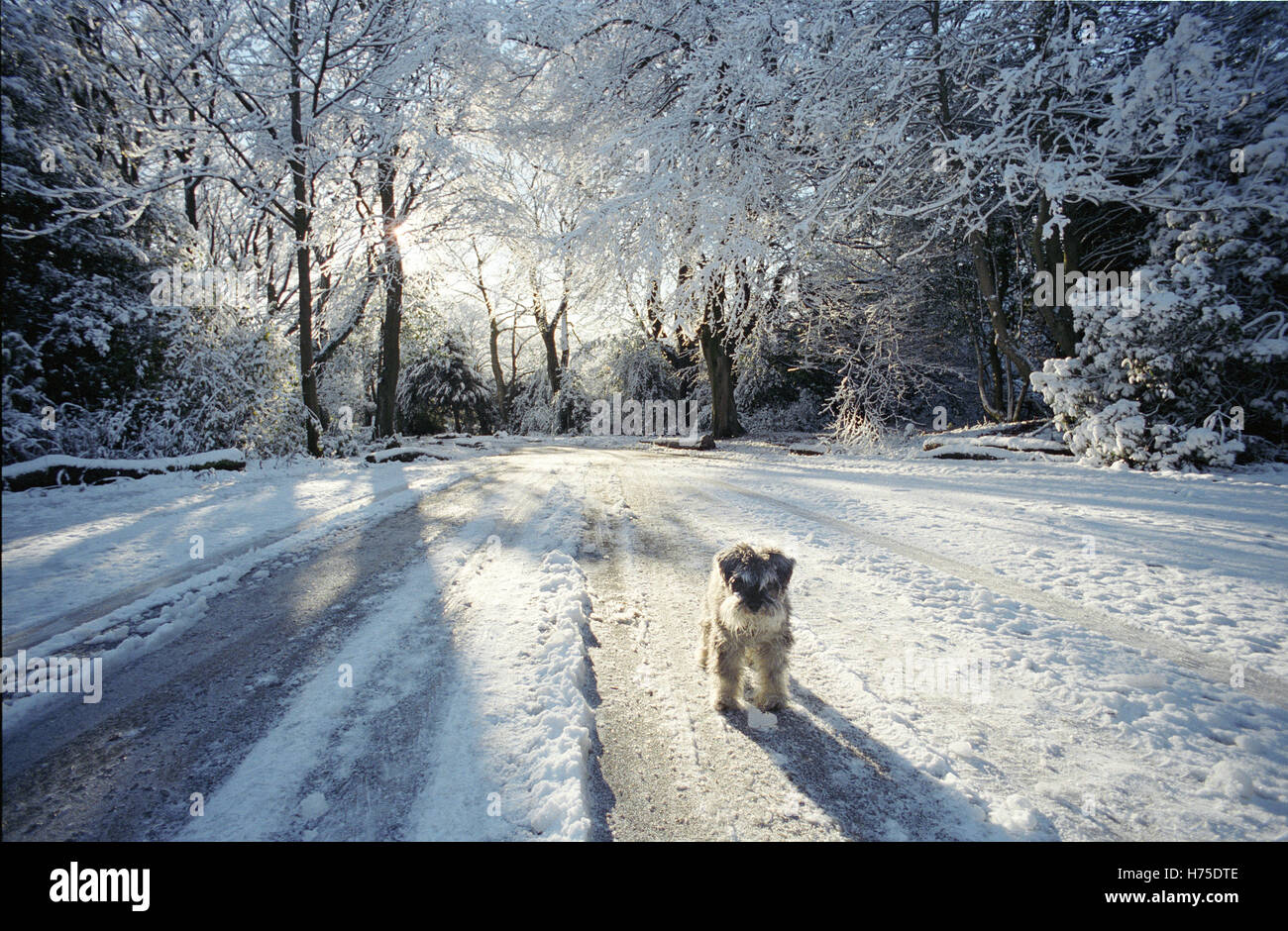 Denholme bradford hi-res stock photography and images - Alamy