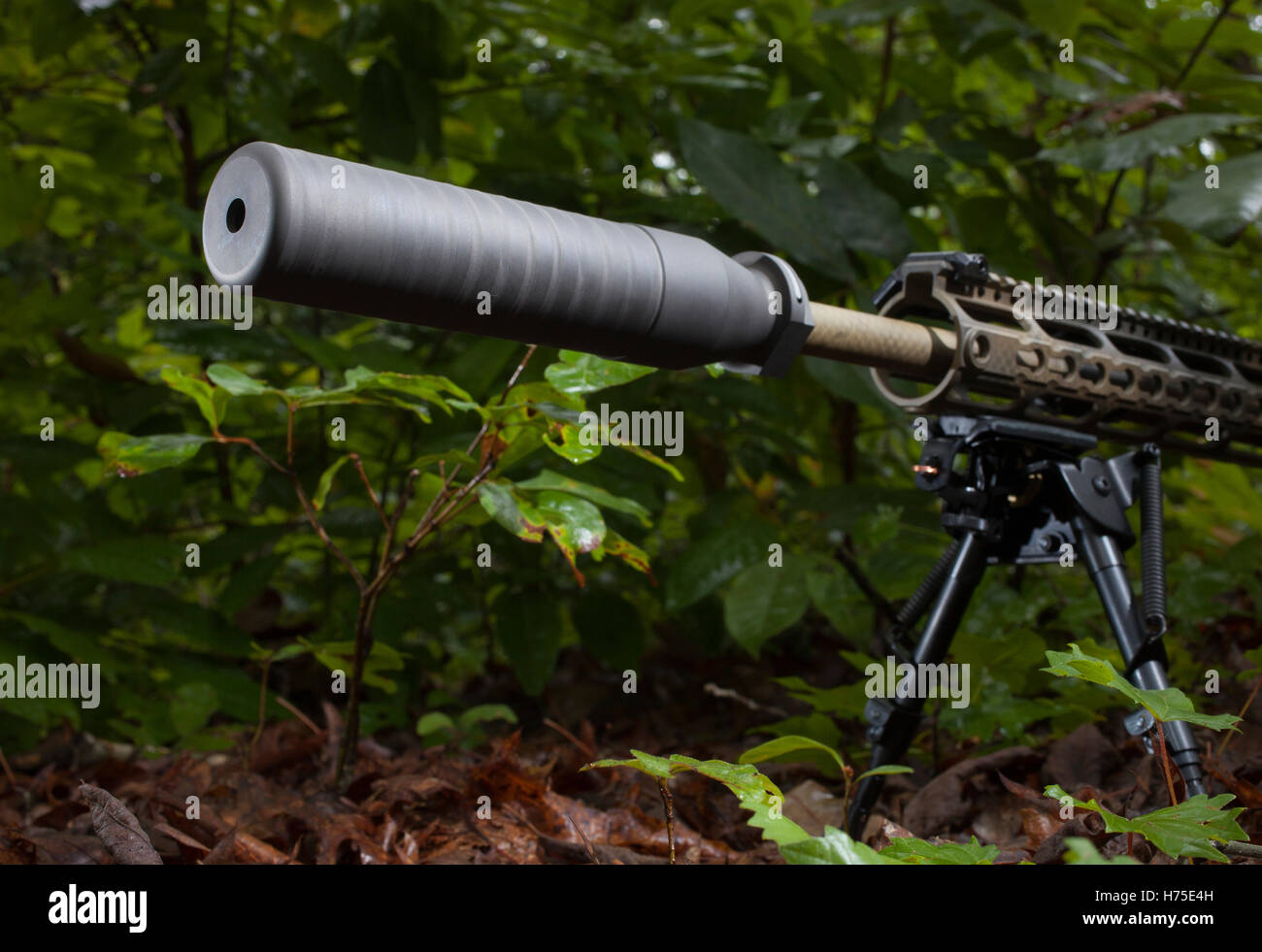 Modern black rifle semi hi-res stock photography and images - Alamy