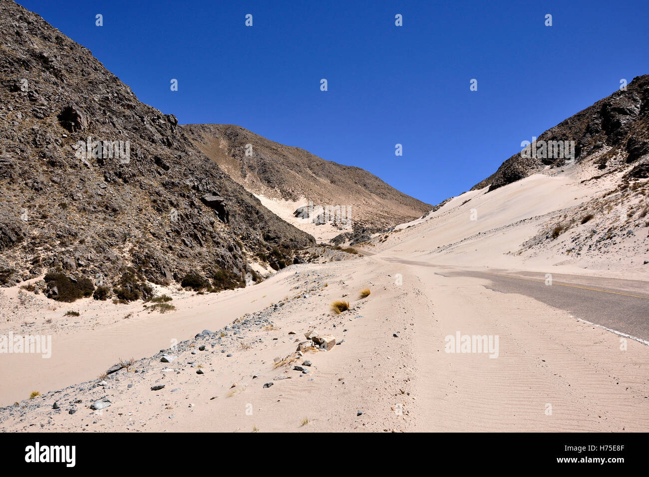 Argentina, Salta region, Puna desert Stock Photo - Alamy