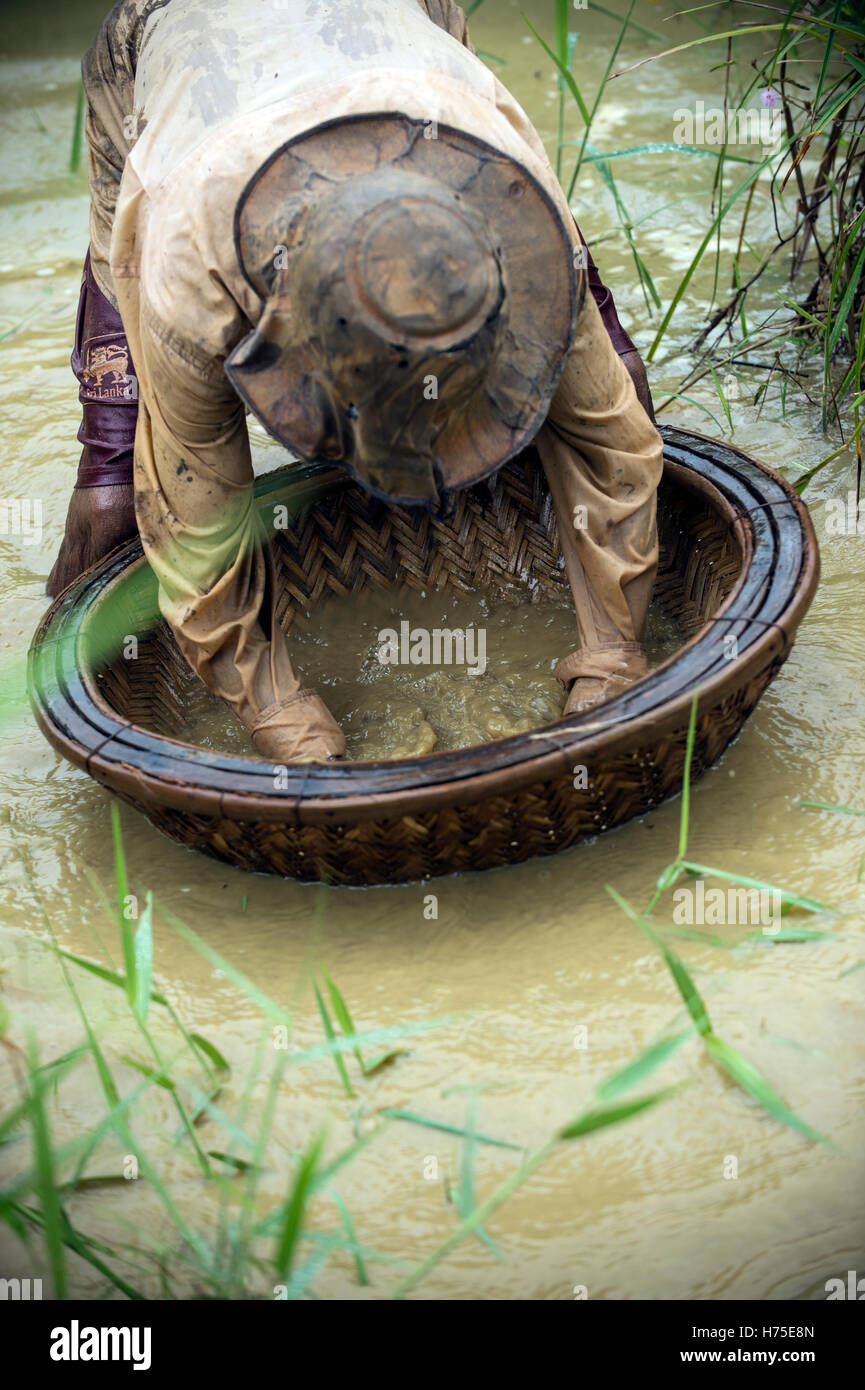 Gem Mining, Sri Lanka Stock Photo - Alamy