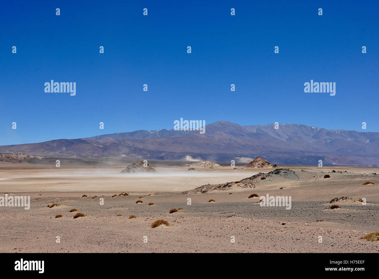Argentina, Salta region, Puna desert Stock Photo - Alamy