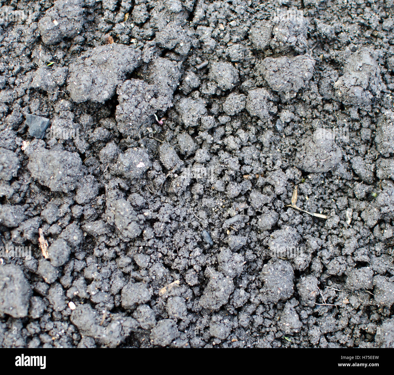 Cultivated field wet soil hi-res stock photography and images - Alamy