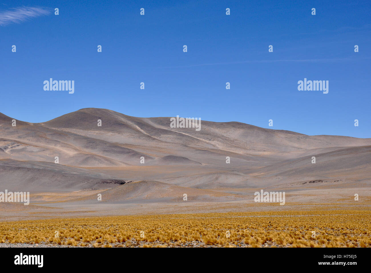 Argentina, Salta region, Puna desert Stock Photo - Alamy