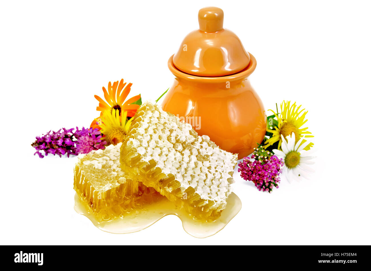 Sweet chamomile Cut Out Stock Images & Pictures - Alamy