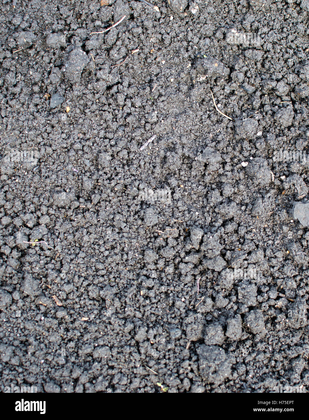 Soil texture hi-res stock photography and images - Alamy